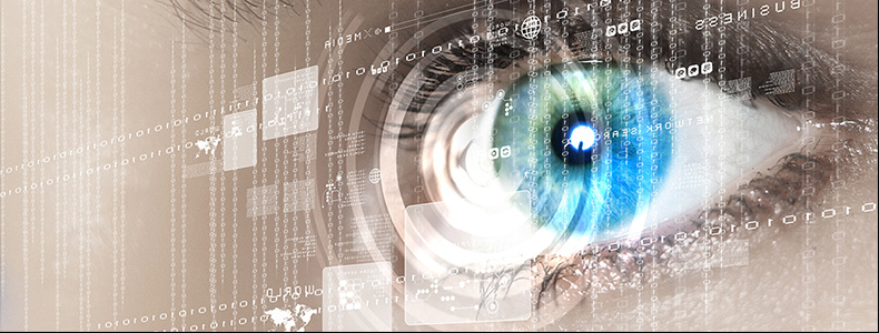 MSI Italy | MSI Italy